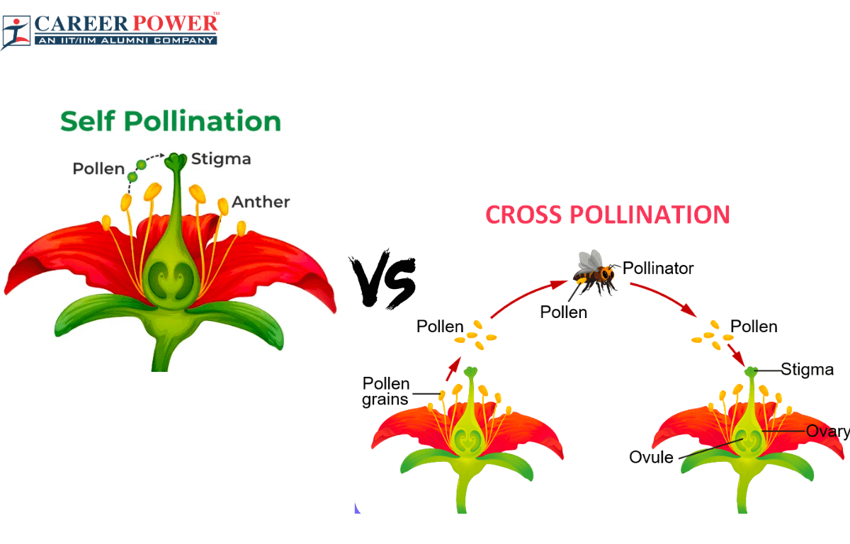 Xpollinate Xpollinate