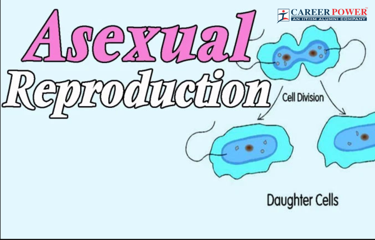 Asexual Reproduction Unveiling Natures Diverse and Efficient ... Asexual Reproduction Unveiling Natures Diverse and Efficient ...