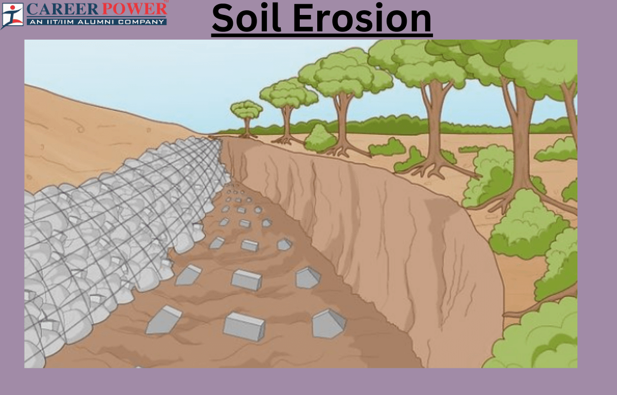 Soil Erosion Definition Effects And Preventions Soil Erosion Definition Effects And Preventions