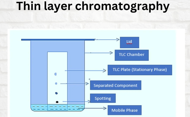 Thin Layer Chromatography Thin Layer Chromatography