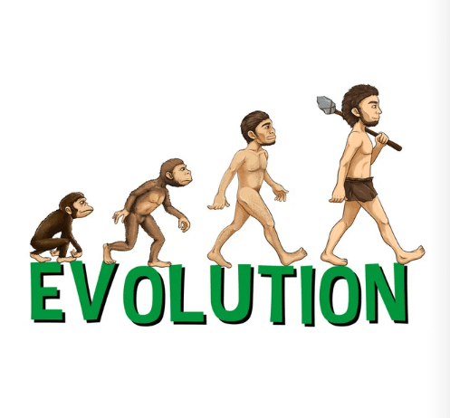 What is evolution store