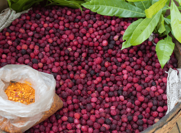 Fruits Name, 50 Fruit Names in English and Hindi